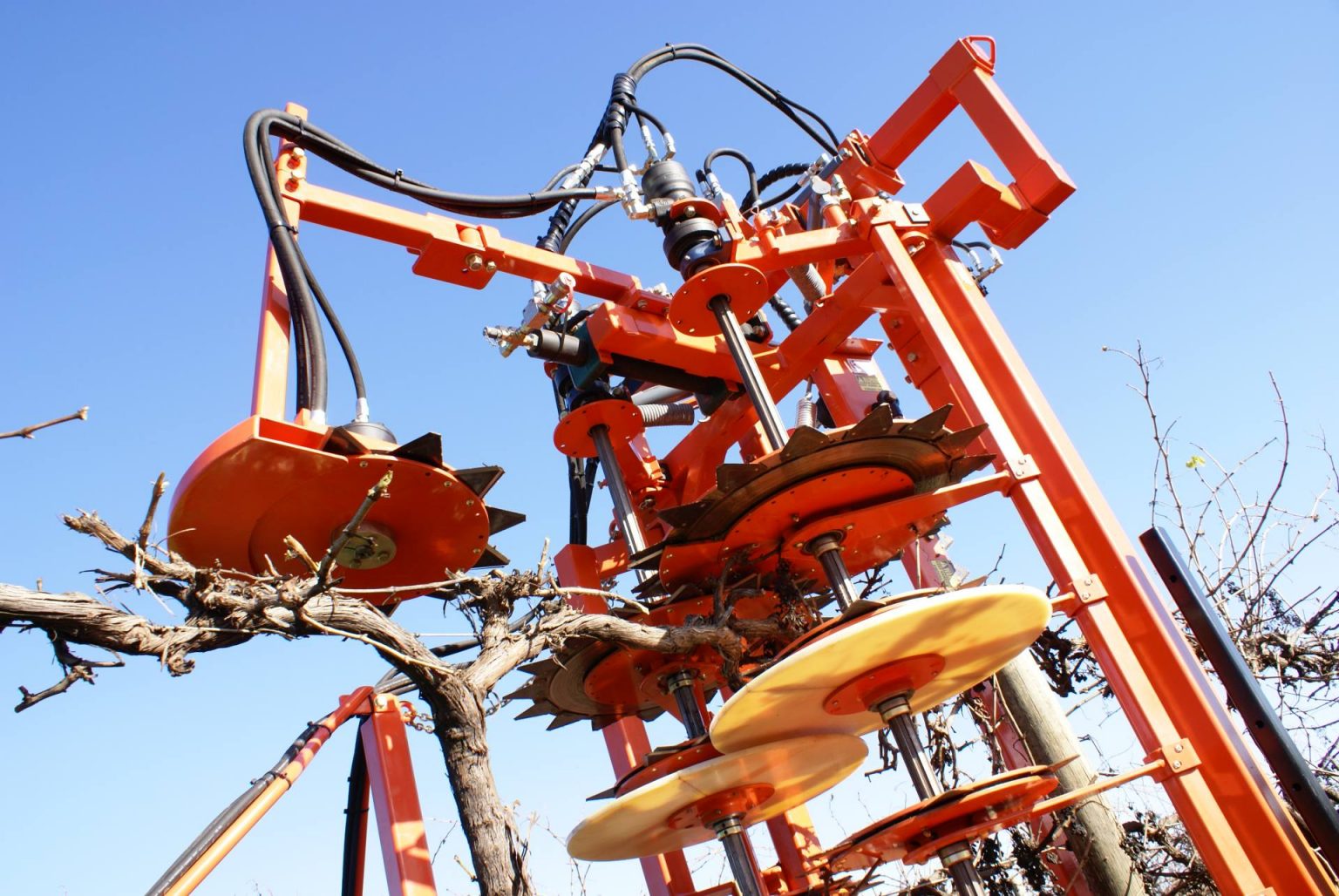 SG Pruning Machine - Australia - Spagnolo Engineering